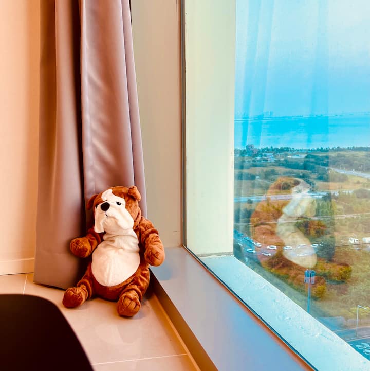 [오픈할인]더블복층 씨사이드파크 메로나하우스 - South Korea