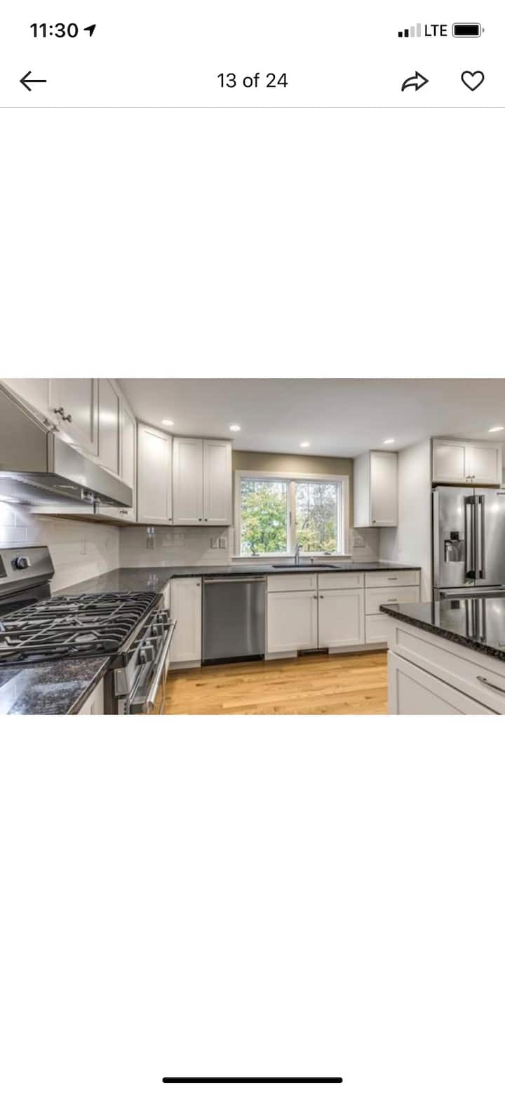 Single Family Boston House Great Privacy - Boston, MA