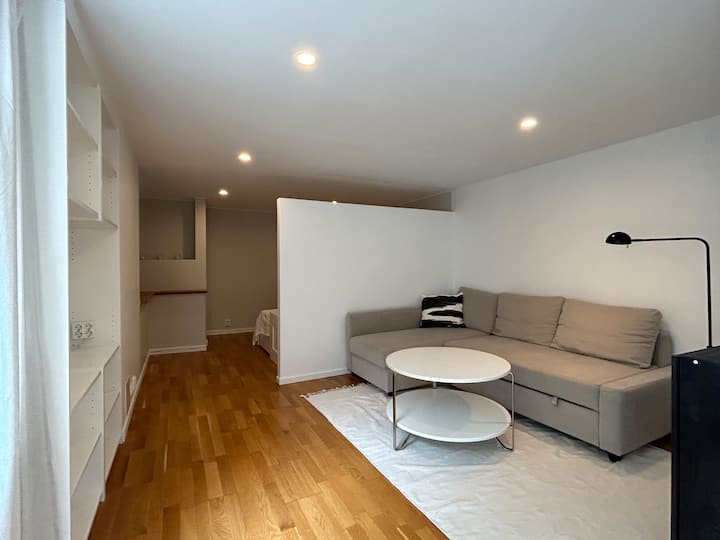 Central Apartment + Free Parking - Gothenburg