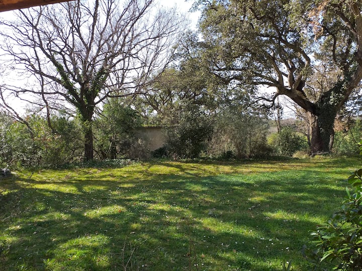 Agricampeggio Poggio Rossino - Grosseto