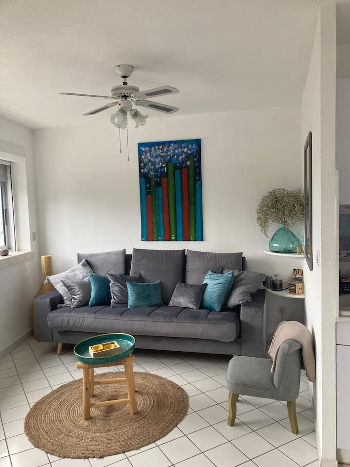 Grand Studio Sur La Marina. - Saint-Cyprien