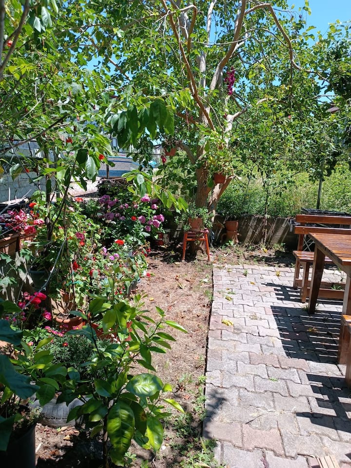 Kefken, Eşyalı Günlük Kiralık Daire - 1 - Kandıra