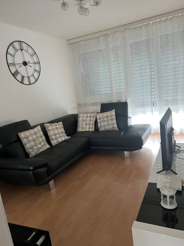 Duplex Au Centre Ville - Genève