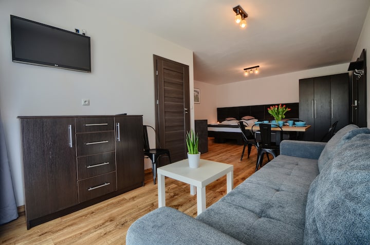 Willa Luiza. Studio 3 Os - Ustroń