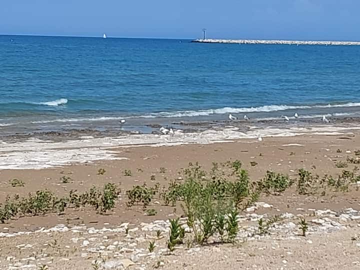La Casa Cerca La Playa - Chicago, IL