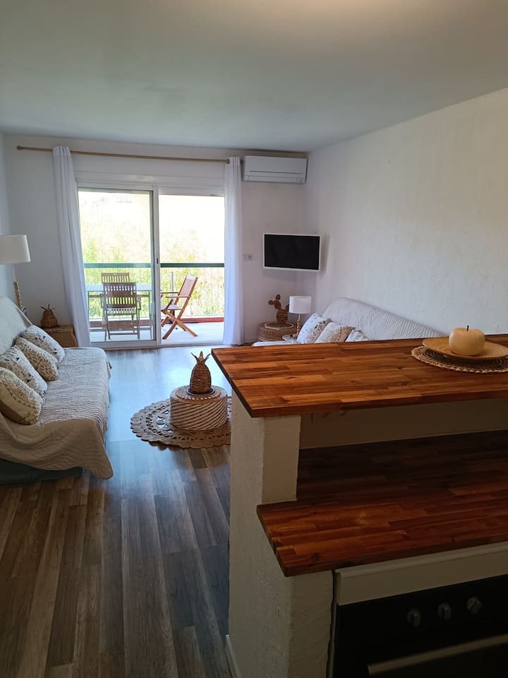 Grand Studio 4 Pers, Clim, Piscine - Bandol