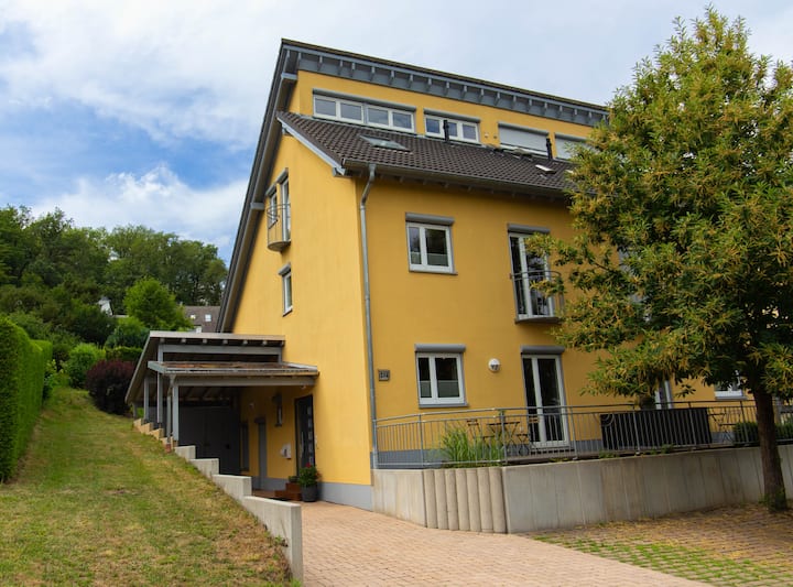 Moselhöhe - Enkirch