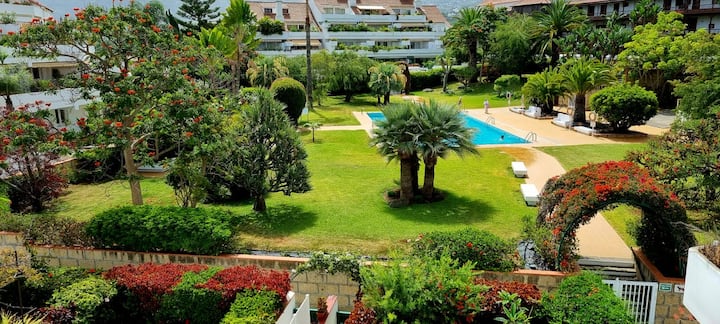 Flordetajinaste - Puerto de la Cruz