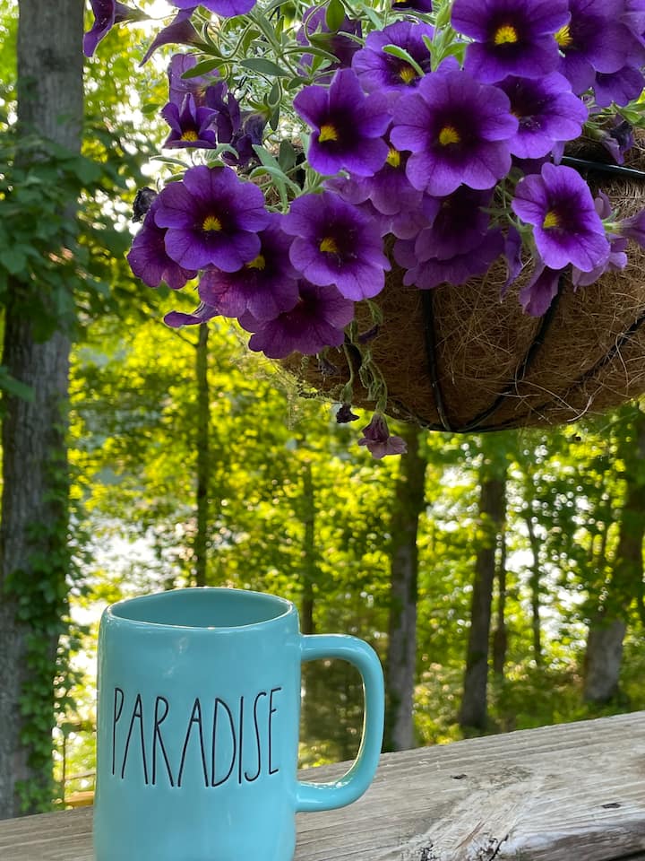 Raleigh Overlook – Scenic Views & Lake Access - Nolin Lake State Park, Mammoth Cave