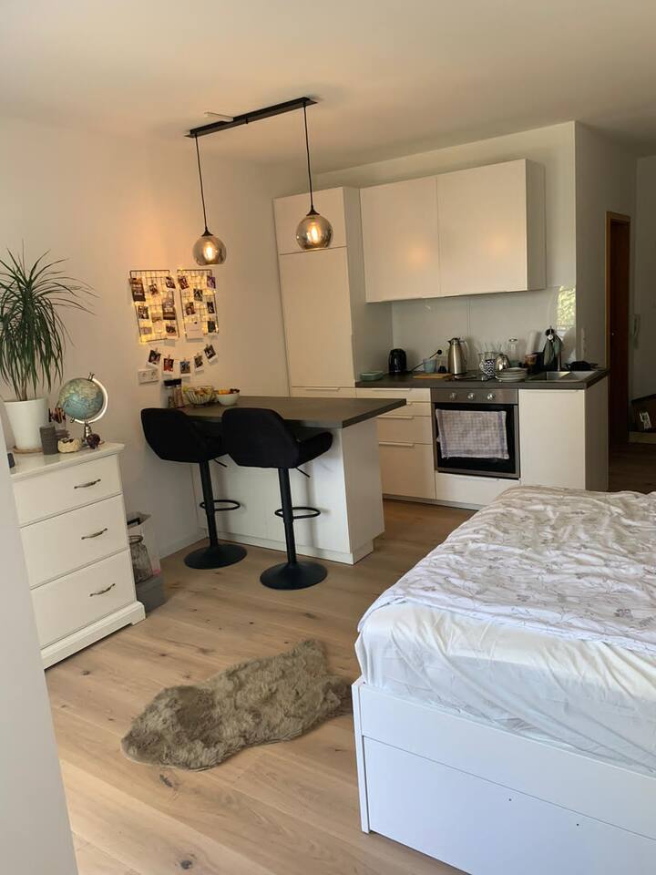 1-zimmerapartment In Würzburg - Randersacker