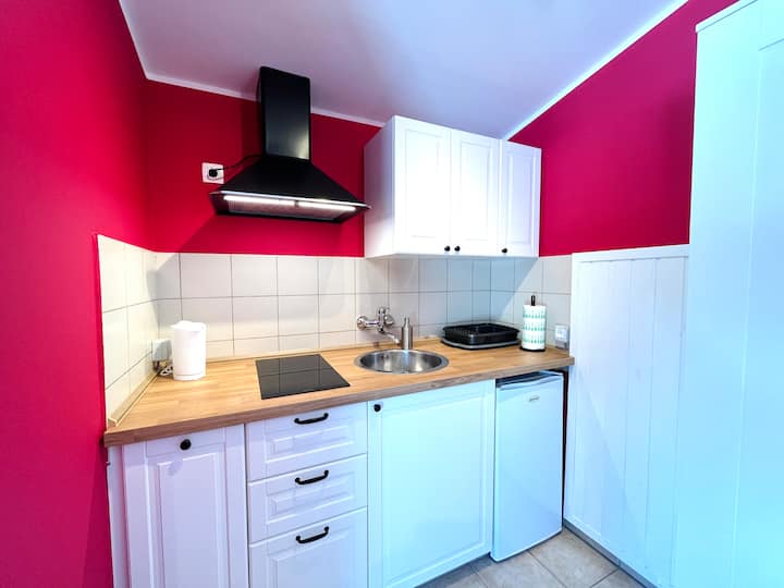 Studio Apartma Grape, Nova Gorica, Slovenia - Nova Gorica
