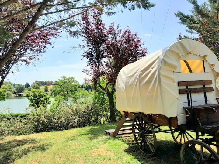 Chariot Avec Vue Sur Le Lac - Rabastens