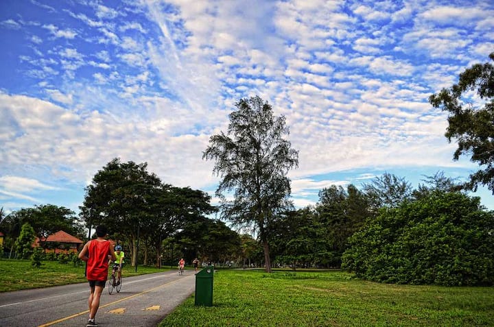 Stylish Dual-studios In Marine Parade, East Sg - Tampines