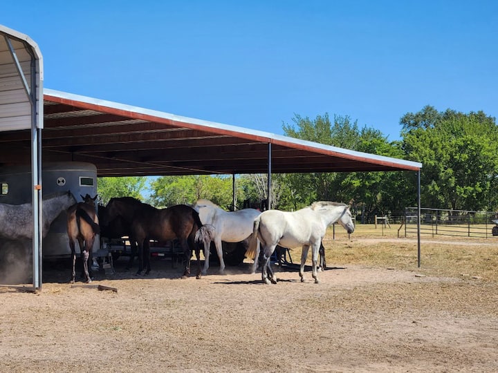 Mondragon Ranch-horses & Events - Purtis Creek State Park, Eustace