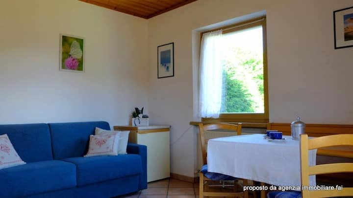 Appartamento Indipendente
It022081b4bnfbhd27 - Fai della Paganella