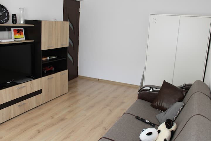Comfy Apartment 2 Rooms - Ab House - Iași