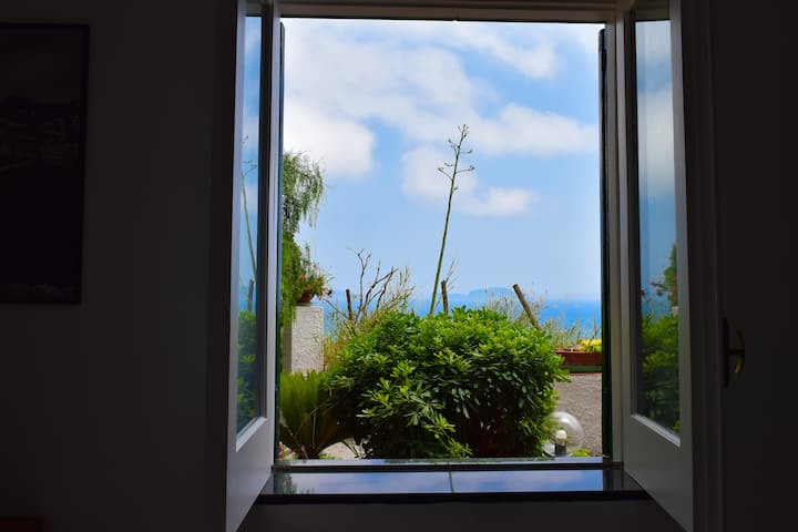 Succellario Ground Floor - Ischia Porto