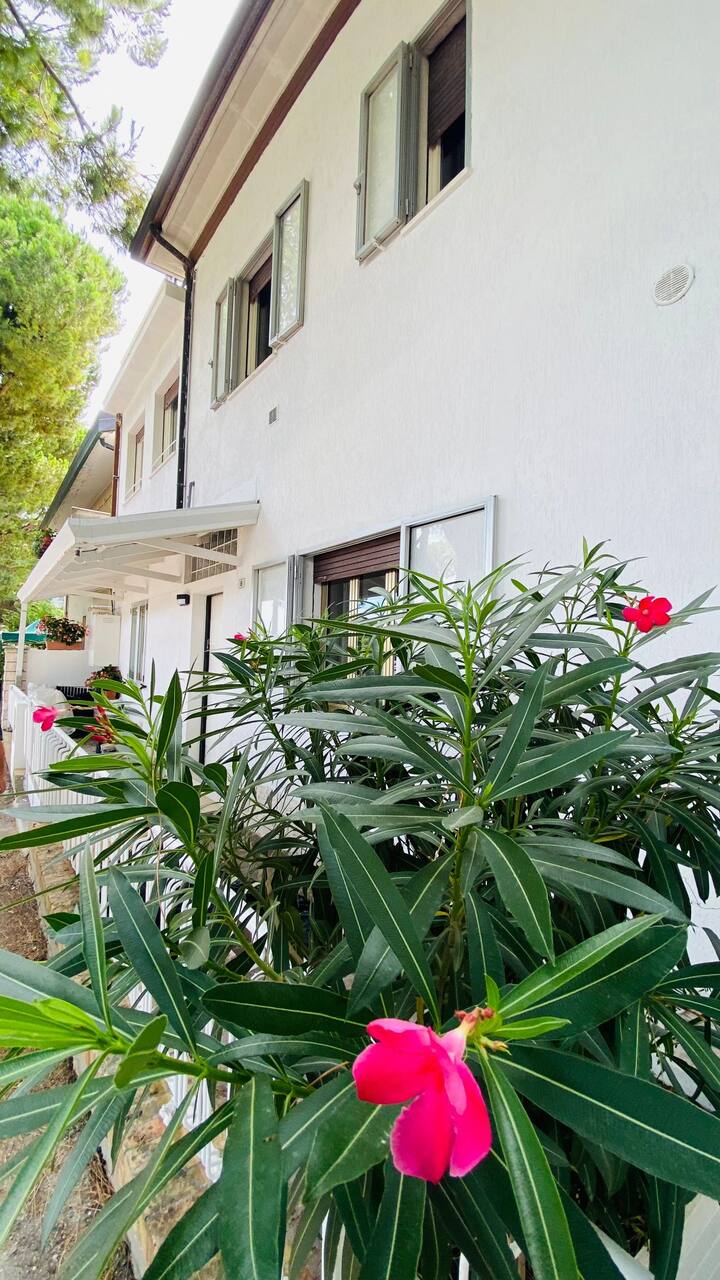 Riccione In Vacanza! - Bilocale - Riccione