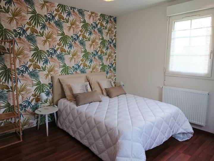Chambre + Salle D'eau Privative - Saran