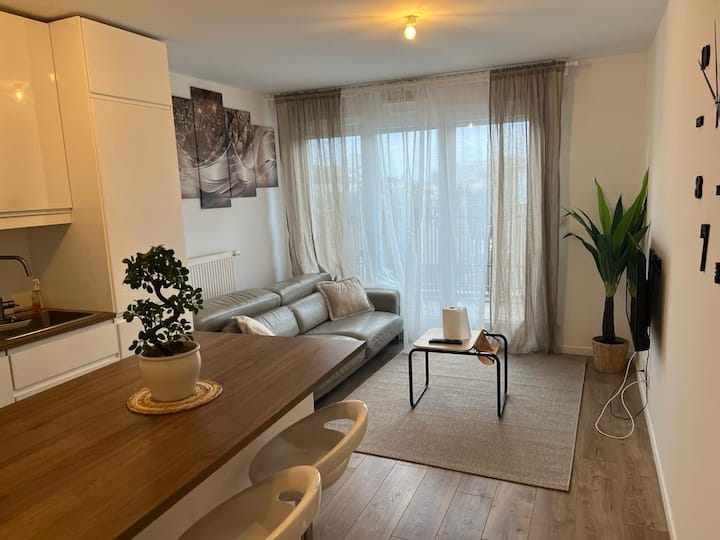 Aux Portes De Paris, Bel Appart. Moderne De 55m2 - Romainville