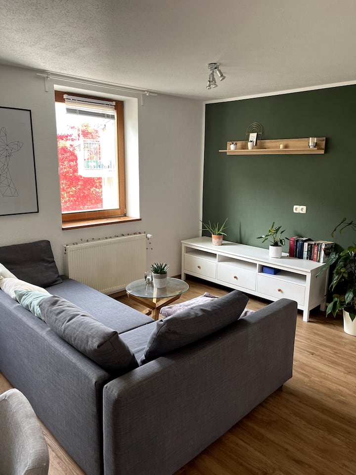 Große Wohnung In Passau - 파사우