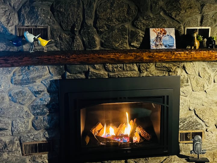 Authentic Log Cabin Modern Twist - Tupper Lake, NY