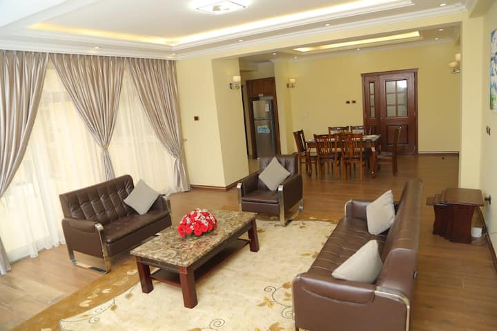 Bole Penthouse With Free Car And Driver - Addis Ababa