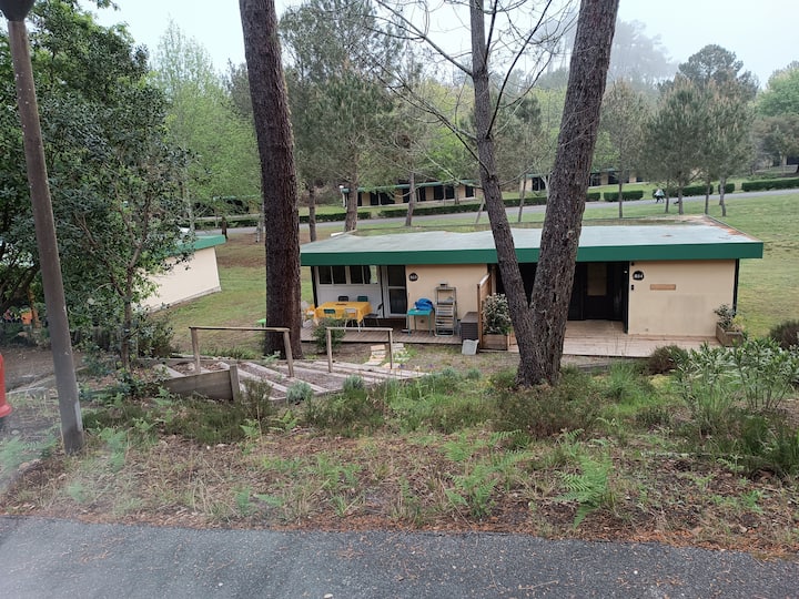 Bungalow 6 Places , 3 Chambres - Messanges