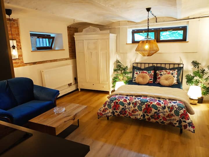 Klimatyczne Studio 3b Z Parkingiem - Katowice