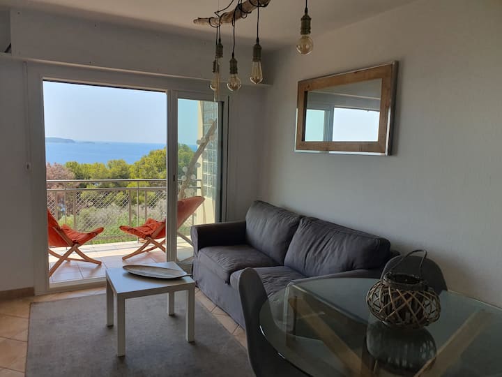 Appartement Face Mer Et Iles D'or à Carqueiranne - Presqu'île de Giens