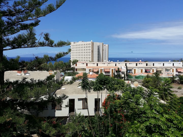 Jacaranda - Playa de las Américas