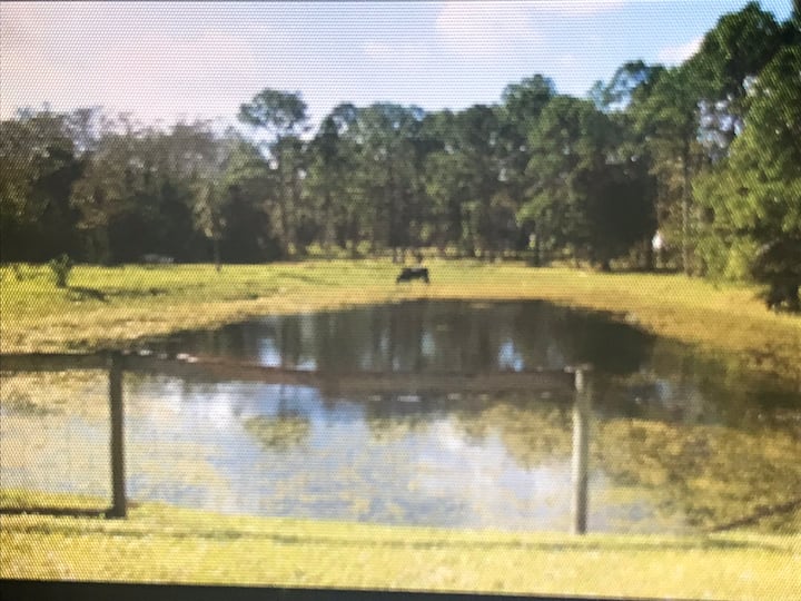 Savage Nathang Sawgrass Llc - Jupiter, FL