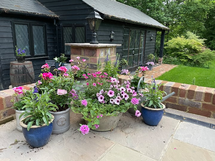 The Beehive - Crowborough