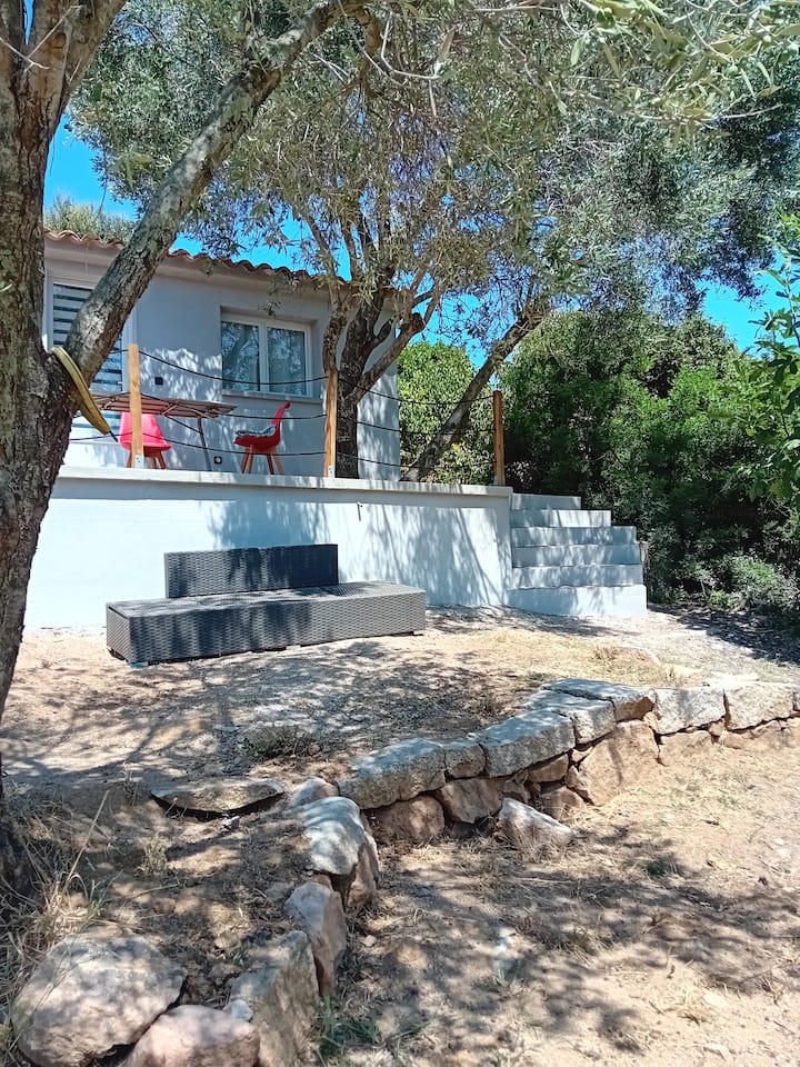 Maison Sous Les Oliviers / Casa D'iloa - Figari