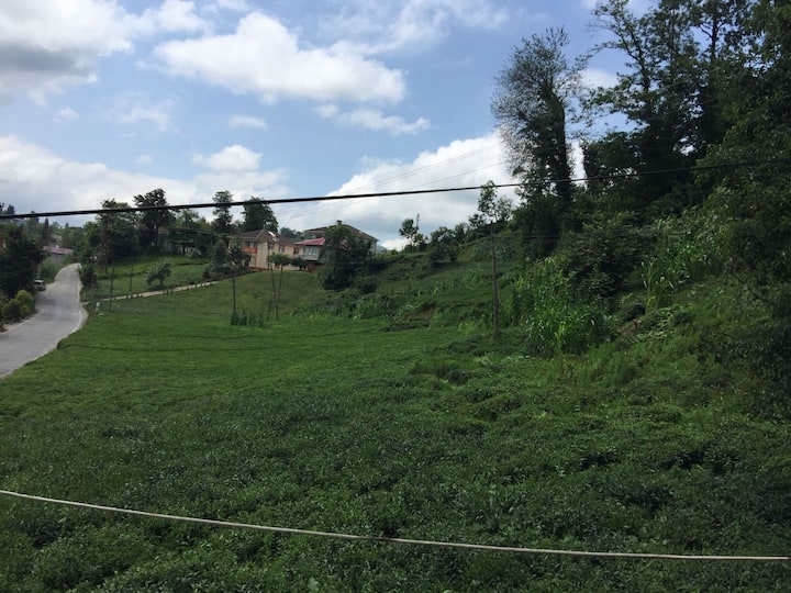 Yeşillikler İçErisinde Konaklama - Rize Merkez