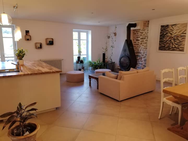 Maison De Charme Très Spacieuse - Neuville-sur-Saône