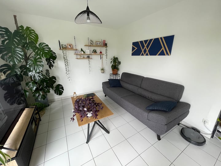 Appartement T2 Hyper Centre - Angers