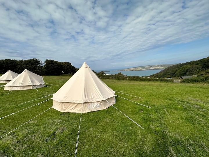 Bell Tent 3 - Cardigan
