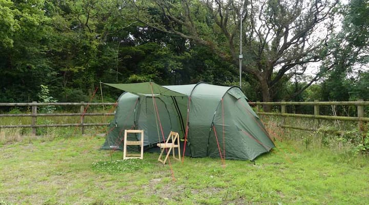 Members Only - Doormouse Pre-pitched Tent - Holsworthy