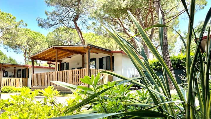 Maxicaravan Elite 2 - Venice