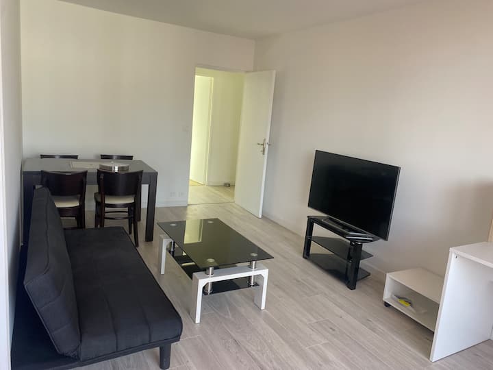 Joli Appartement - Pau