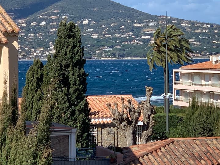 St Tropez Plage Bouillabaisse - Saint-Tropez