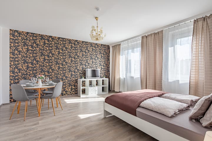 Lizo2    3 Csillagos Klímás +Ac +Car Rental - Székesfehérvár