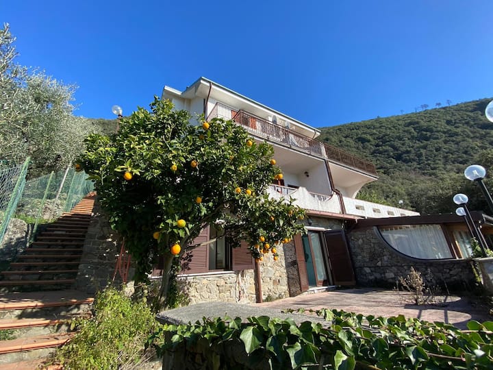 Villa Acquario - Moneglia