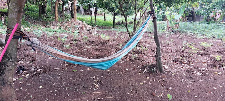 Natural At Nature's Gardens - Grenada