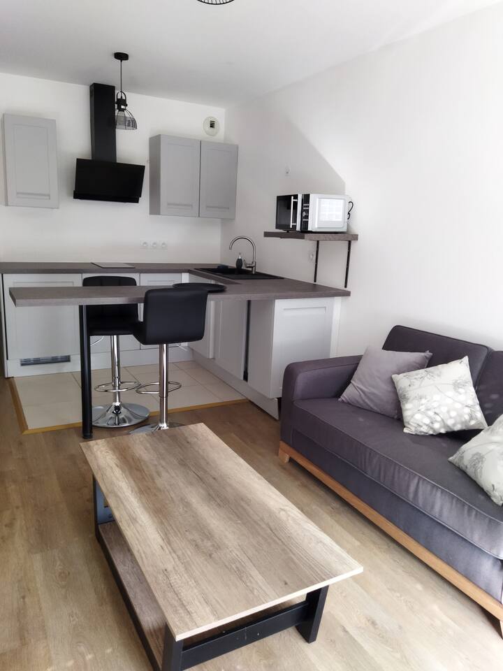 Appartement T2 Au Bord Du Lac - Aix-les-Bains