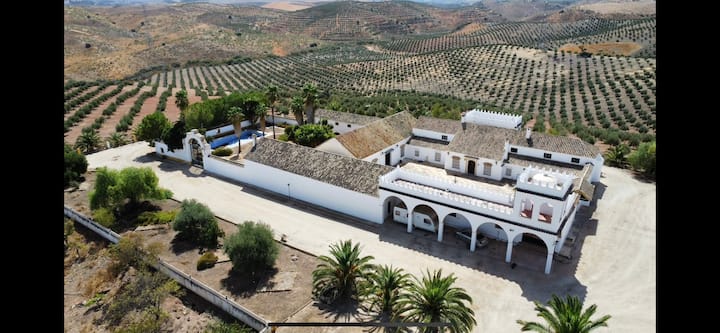 Cortijo Doñana - Morón de la Frontera