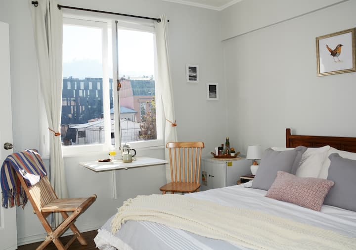 Céntrico Y Moderno Apartamento - Independencia