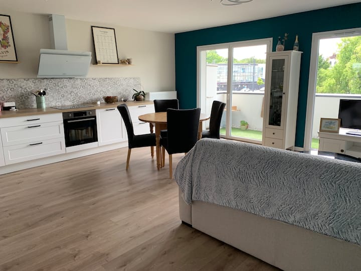 Appartement Rives De L’escaut - Valenciennes