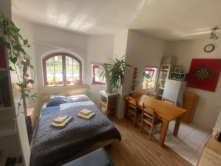 Gemütliche Souterrain-wohnung - Greifswald